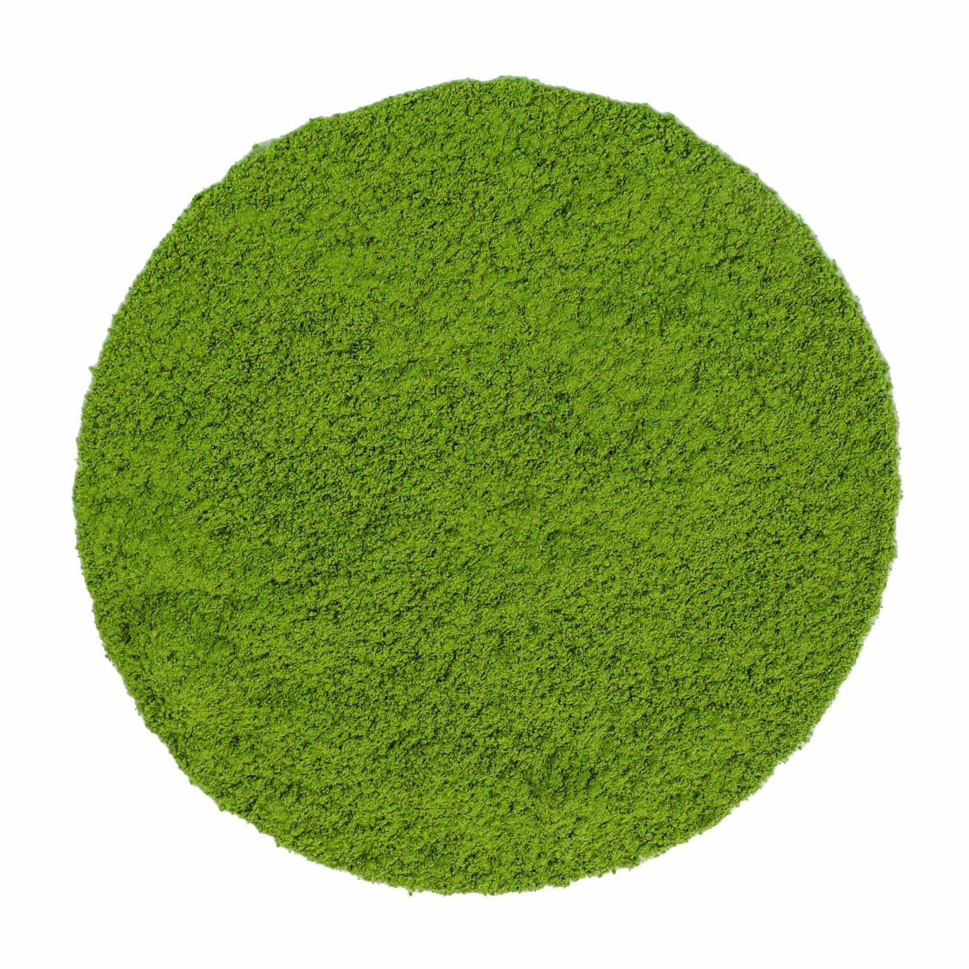 Matcha Japonais de Cérémonie "Hisui" Bio ÔTEKA® | Pureté et Excellence ...